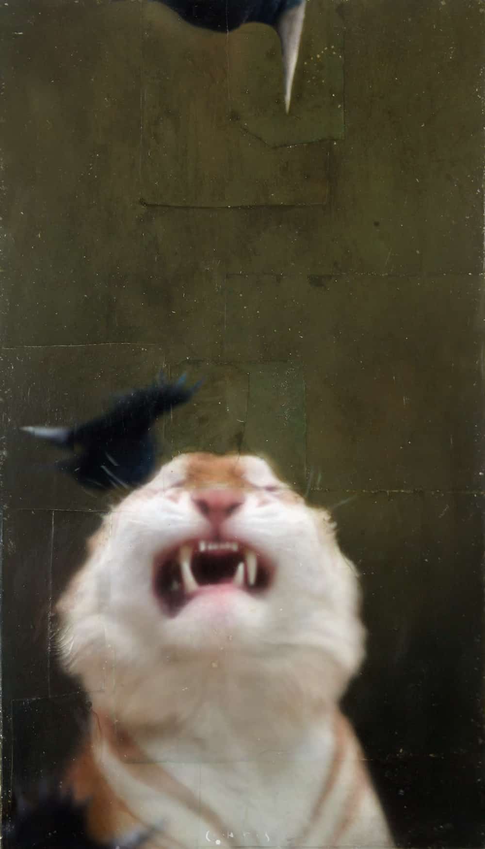 The Heaven Show - Chris Berens